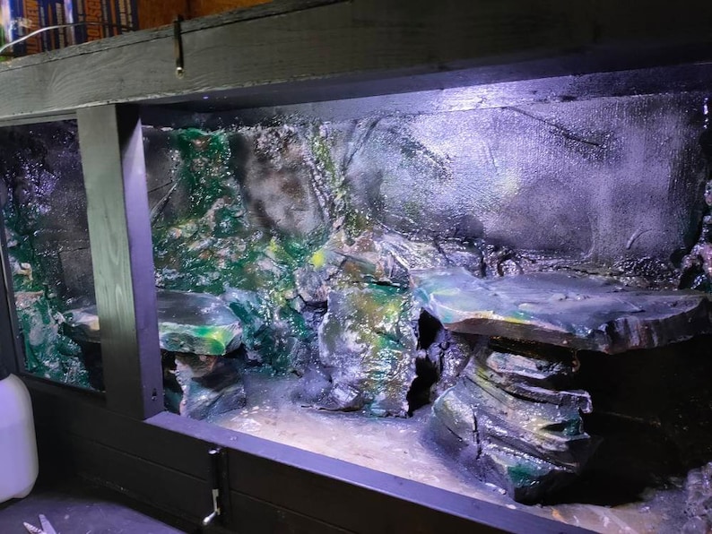 Custom Reptile Backgrounds - Etsy