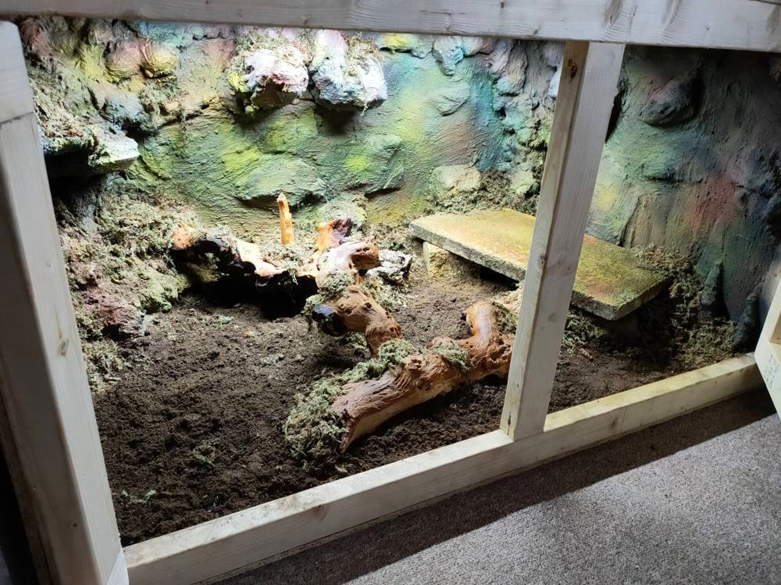 Custom Reptile Backgrounds - Etsy