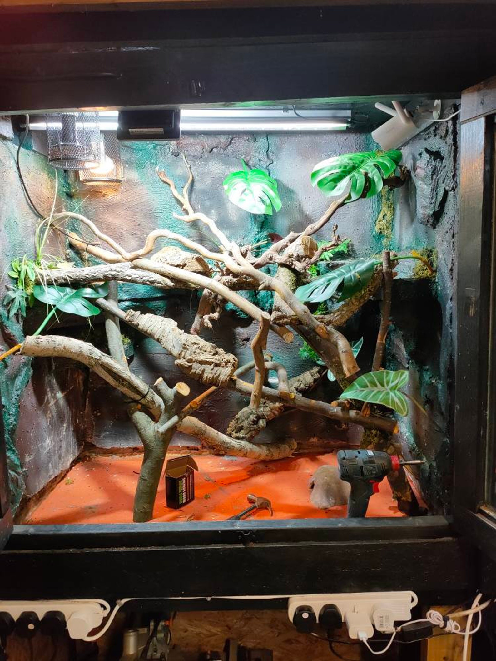 Custom Reptile Backgrounds - Etsy