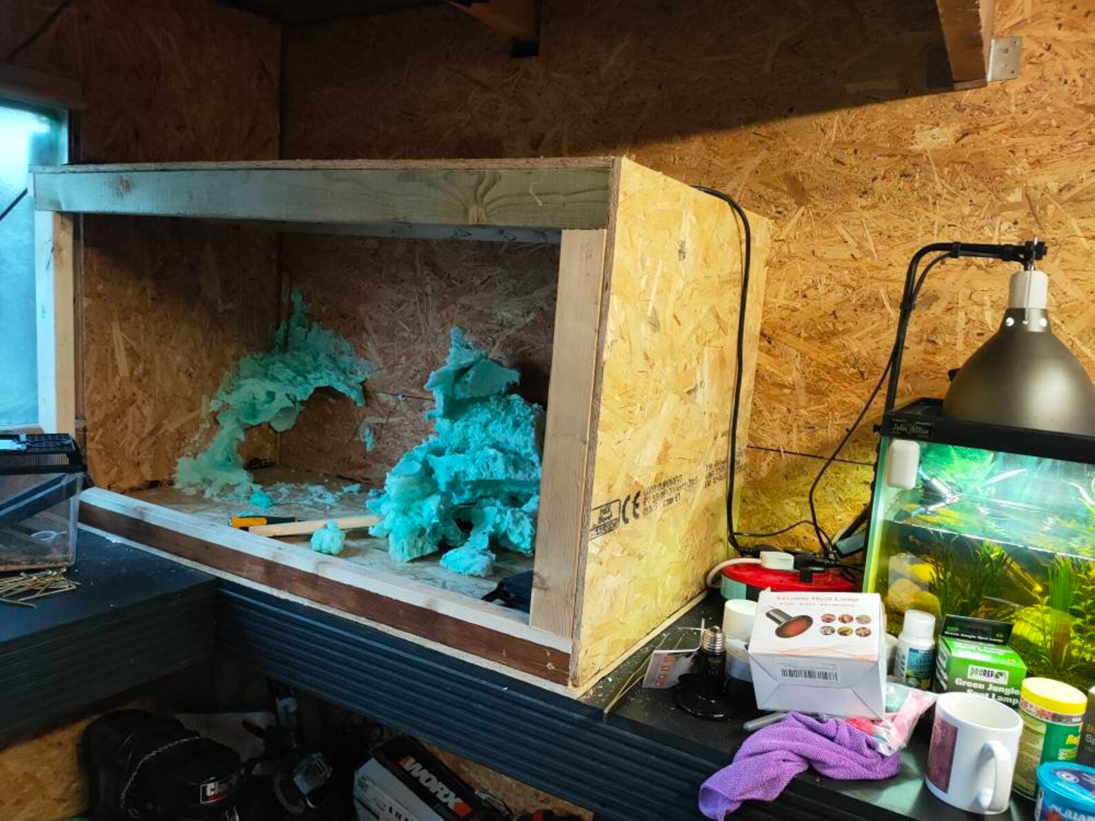 Custom Reptile Backgrounds - Etsy