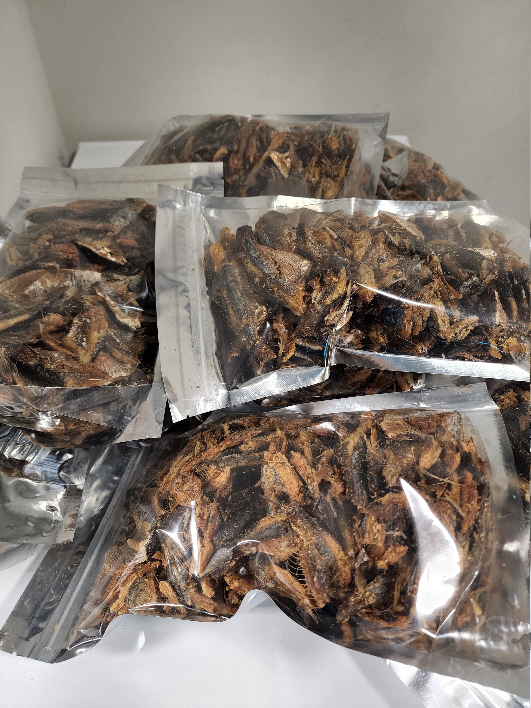 Dry Bonga Fish - Etsy