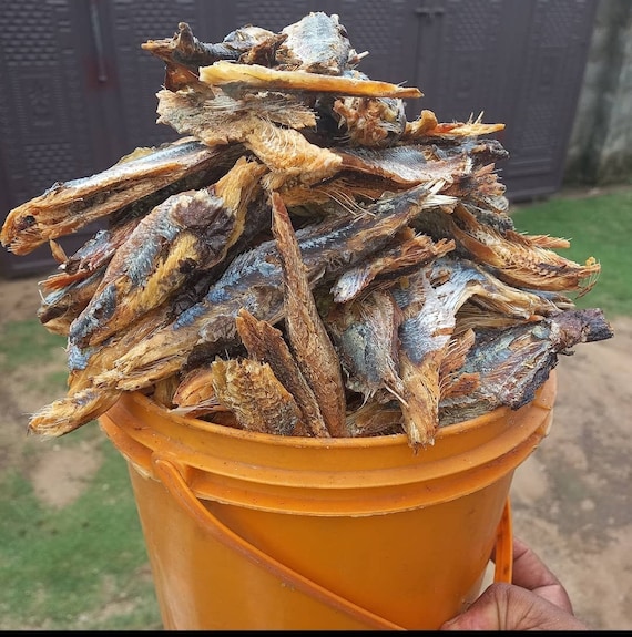 Dry Bonga Fish - Etsy