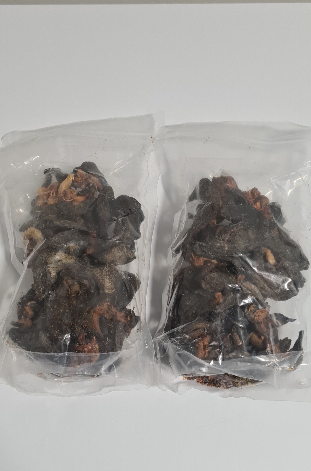 Oven Dried Snail 20 per Pack - Etsy