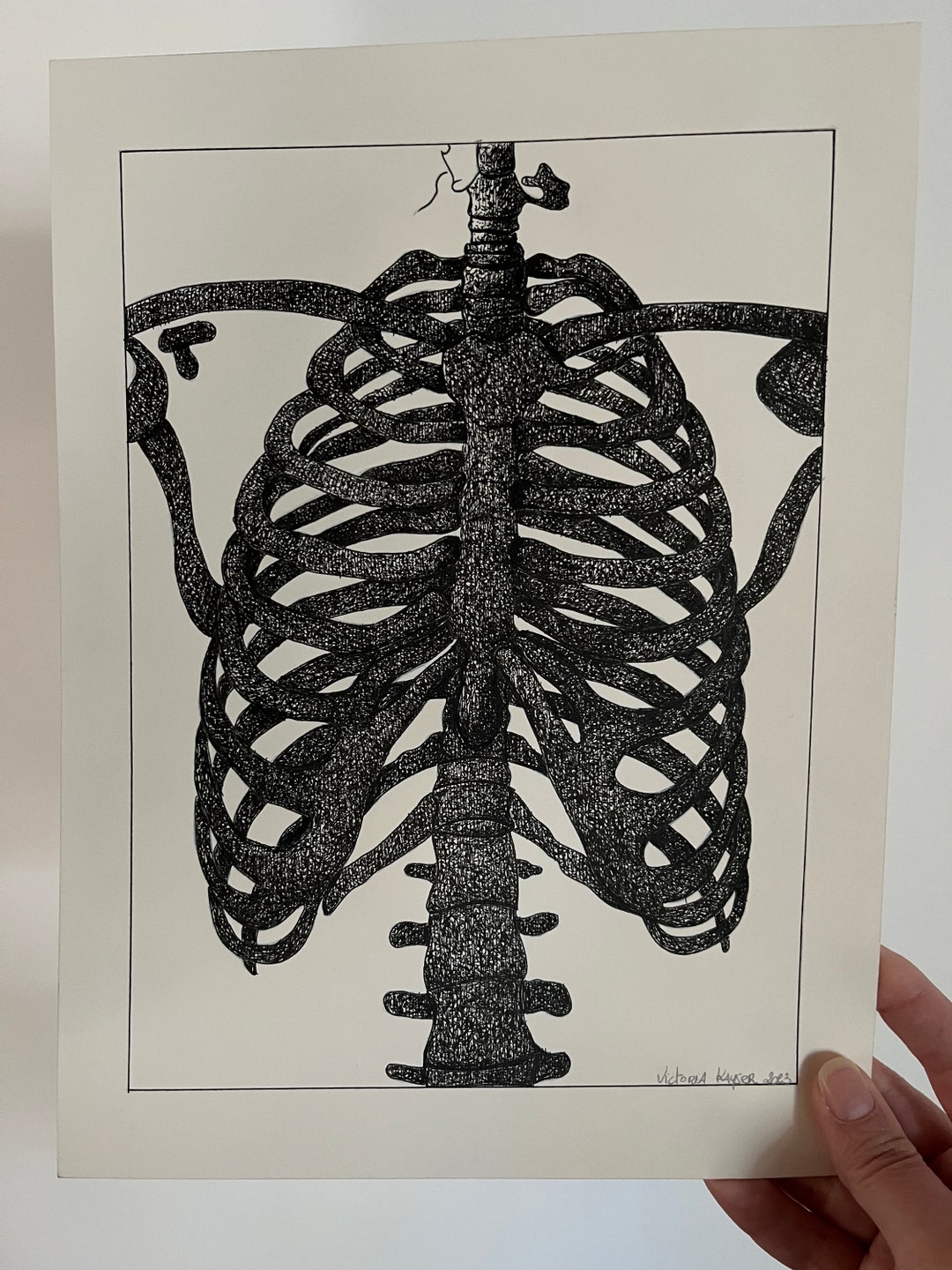 RIB CAGE Original Drawing With Ink - Etsy UK