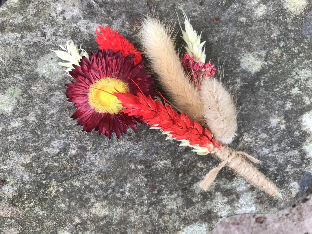Dried Red Straw Flower Buttonhole, Boutonniere, Dried Flower Buttonhole ...
