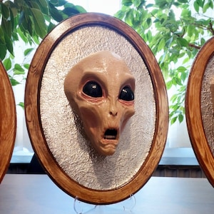 Alien Species 3d Frames / Sci-fi, Roswell, Gift, Art, Collectable, Grey ...