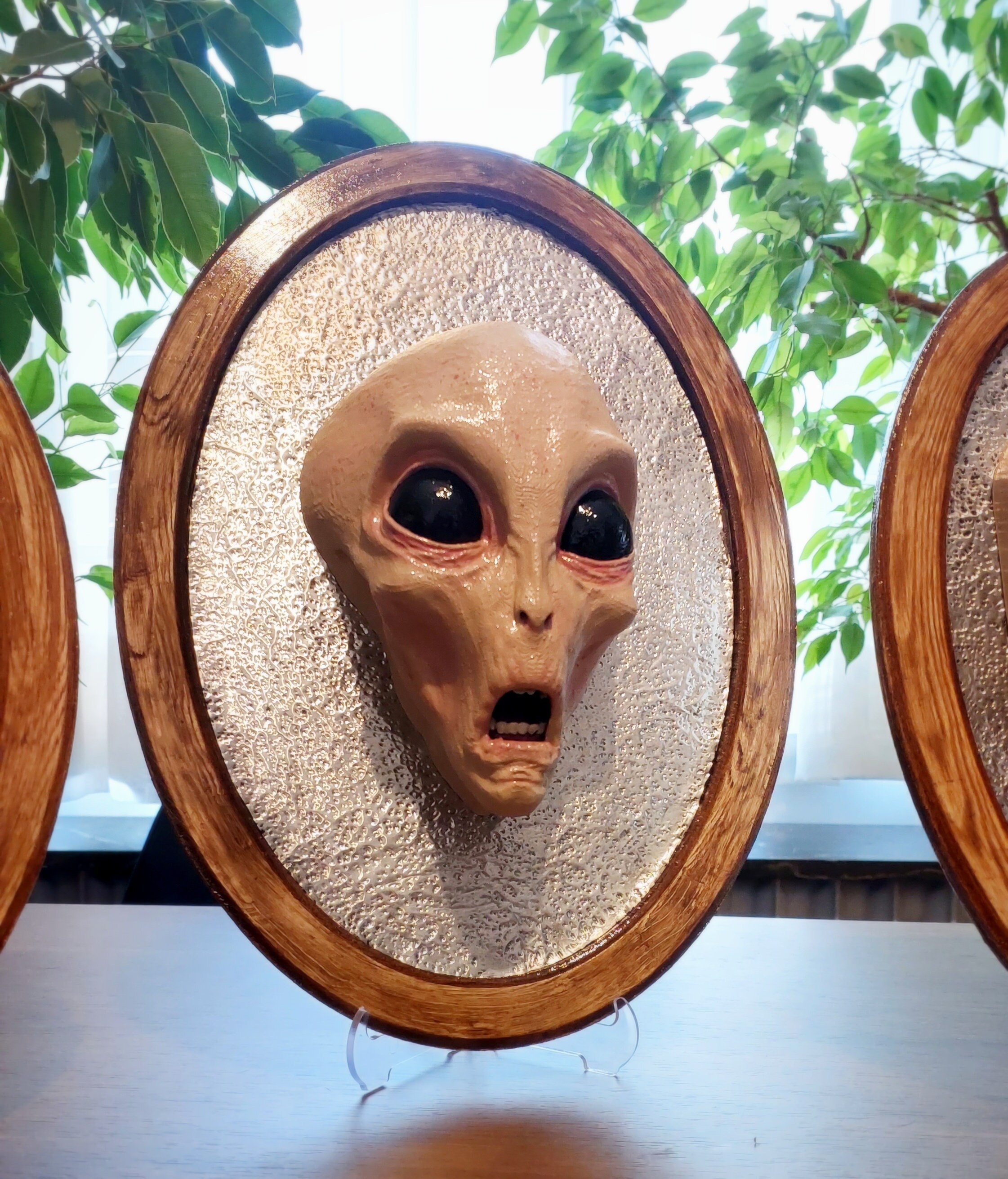 Alien Species 3d Frames / Sci-fi, Roswell, Gift, Art, Collectable, Grey ...