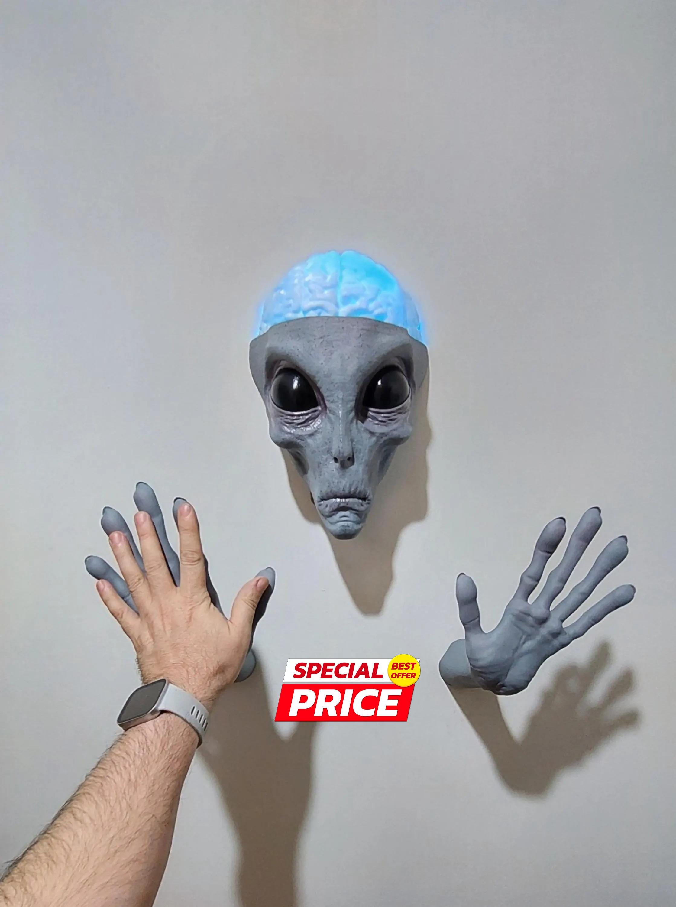 Life Size Alien Head Wall Decor, RGB Illuminated With Remote Control- 1 ...