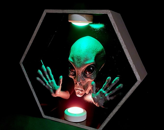 Alien Hexagon Diorama- Big Scale V2.0 , Remote Controlled, RGB / Sci-fi ...