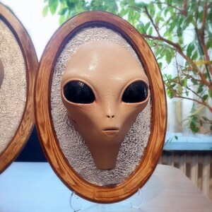 Alien Species 3d Frames / Sci-fi, Roswell, Gift, Art, Collectable, Grey ...