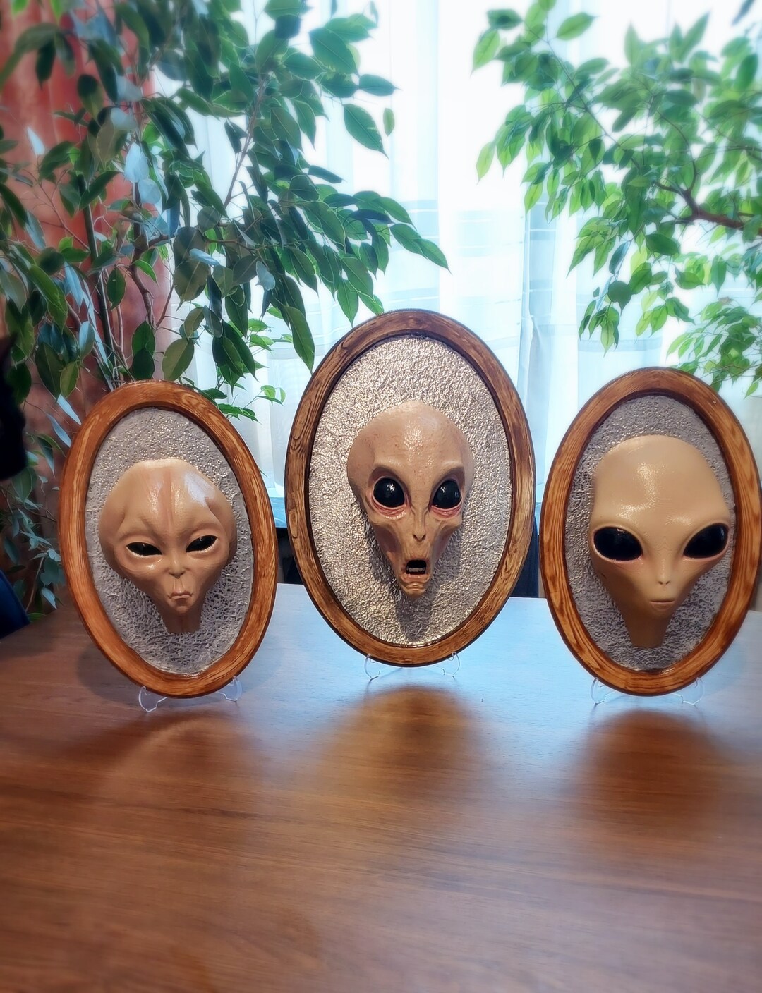 Alien Species 3d Frames / Sci-fi, Roswell, Gift, Art, Collectable, Grey ...