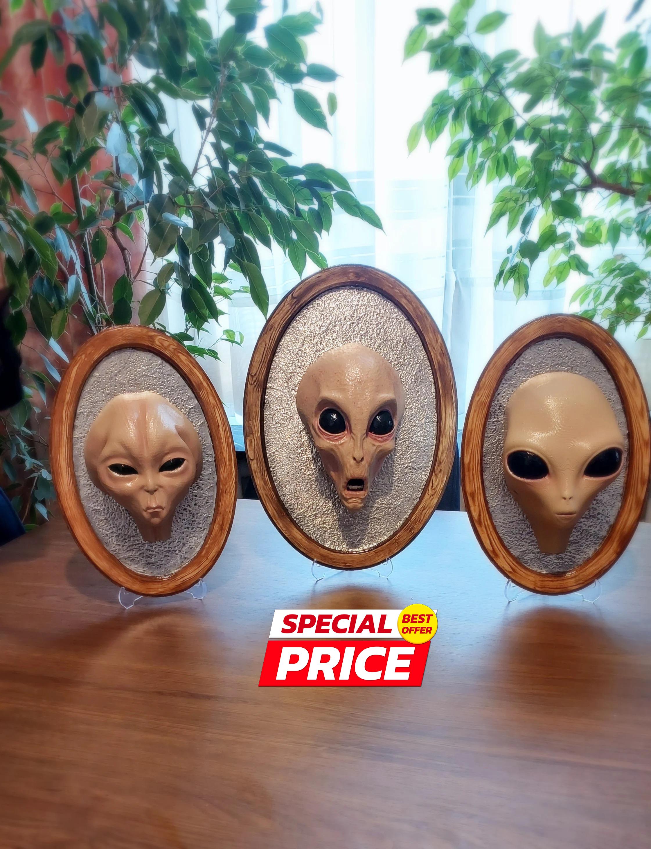 Alien Species 3d Frames / Sci-fi, Roswell, Gift, Art, Collectable, Grey ...