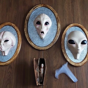 Alien Species 3d Frames / Sci-fi, Roswell, Gift, Art, Collectable, Grey ...