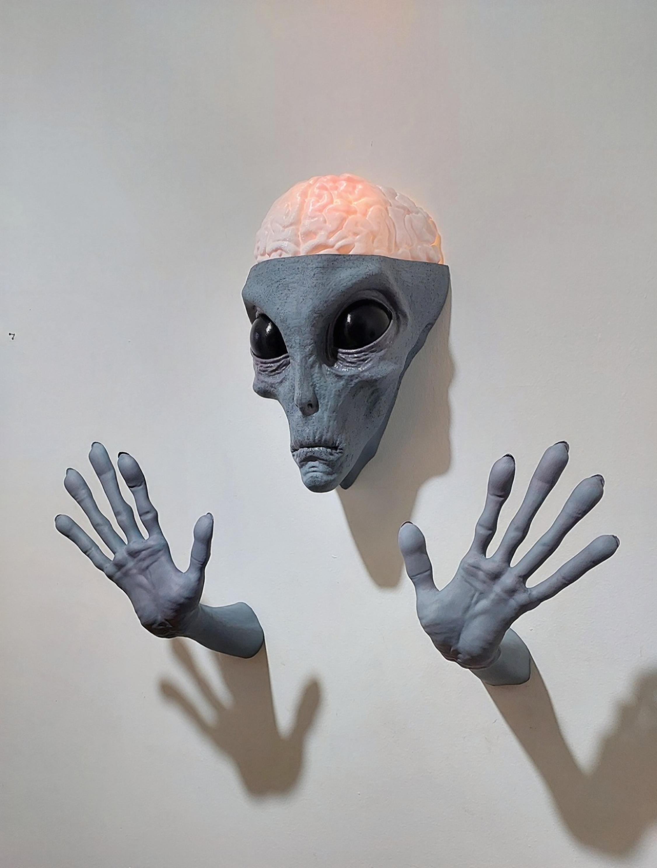 Life Size Alien Head Wall Decor, RGB Illuminated With Remote Control- 1 ...