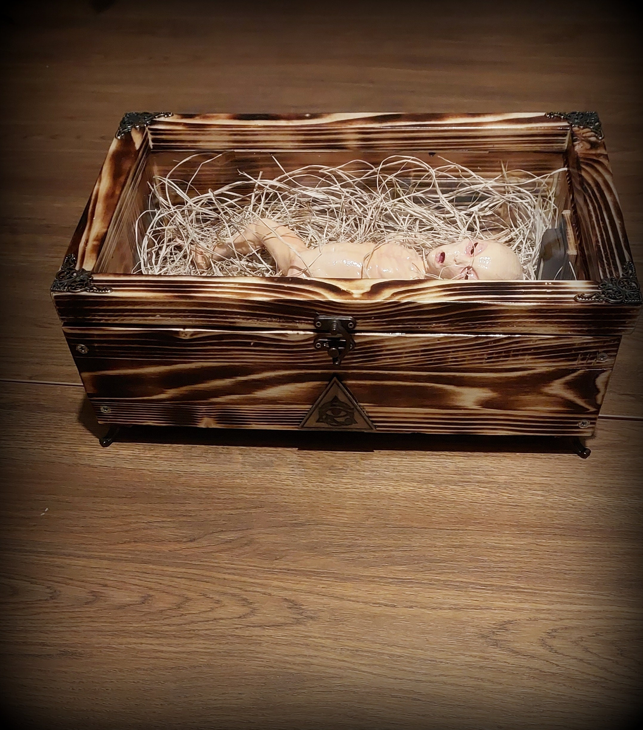 Dead Alien in Wooden Chest - Etsy
