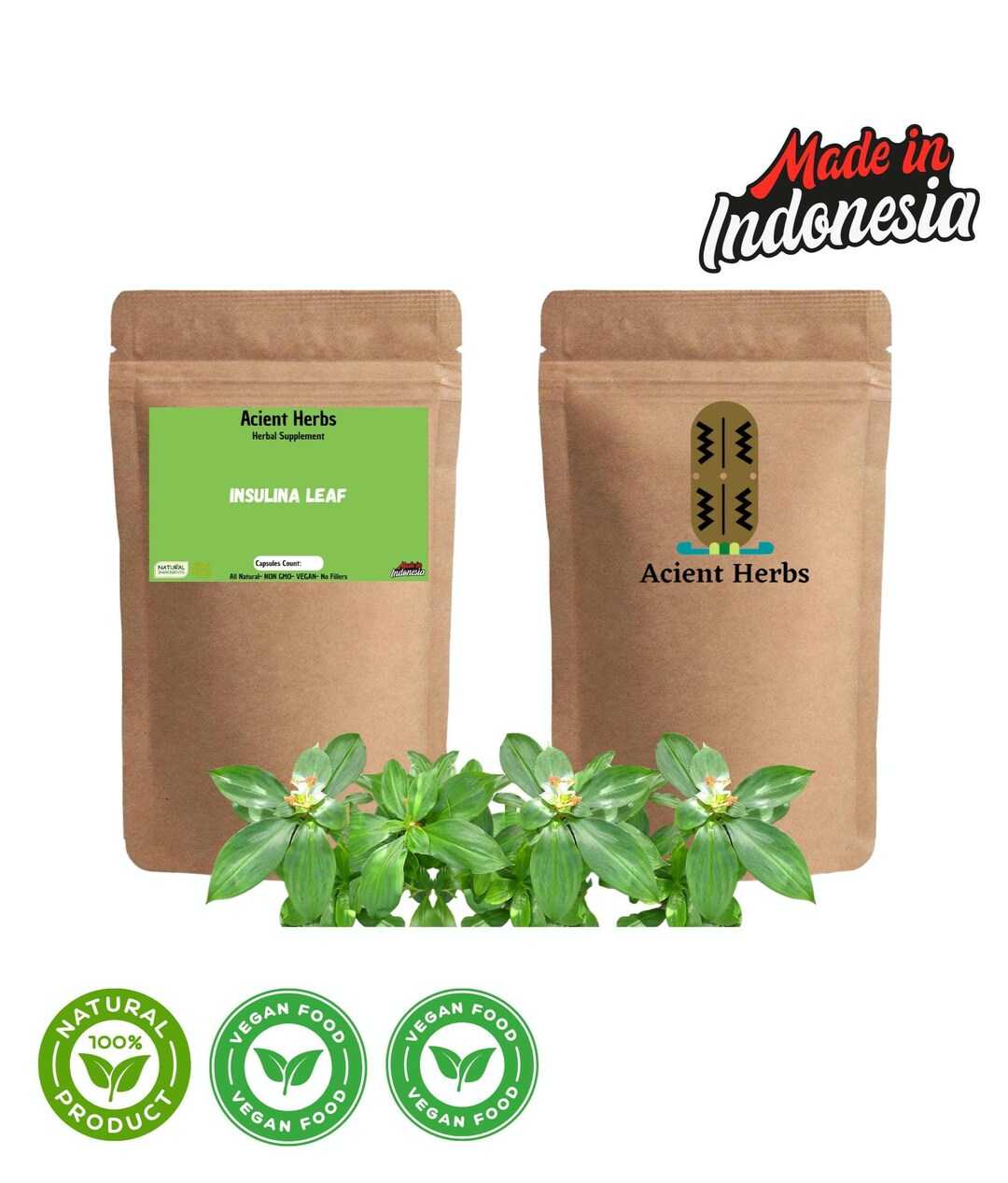 Organic Insulina Plant Leaf Extract 500mg Vegetarian Capsules Costus ...