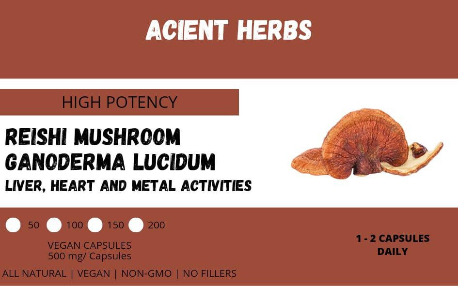Organic Reishi Mushroom Capsules Organic Ganoderma Lucidum Capsules 500 ...