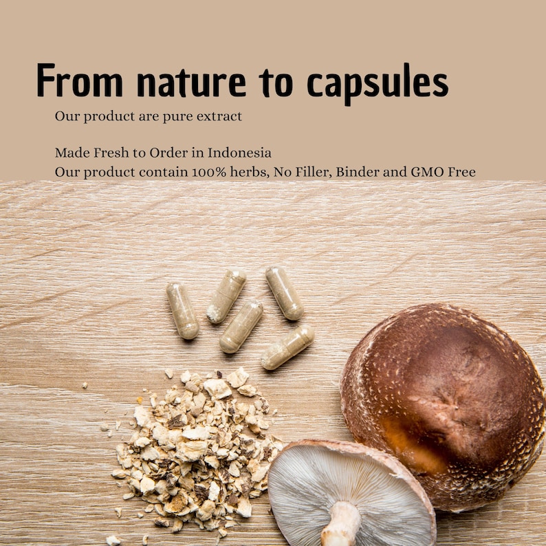 Organic Insulina Plant Leaf Extract 500mg Vegetarian Capsules Costus ...