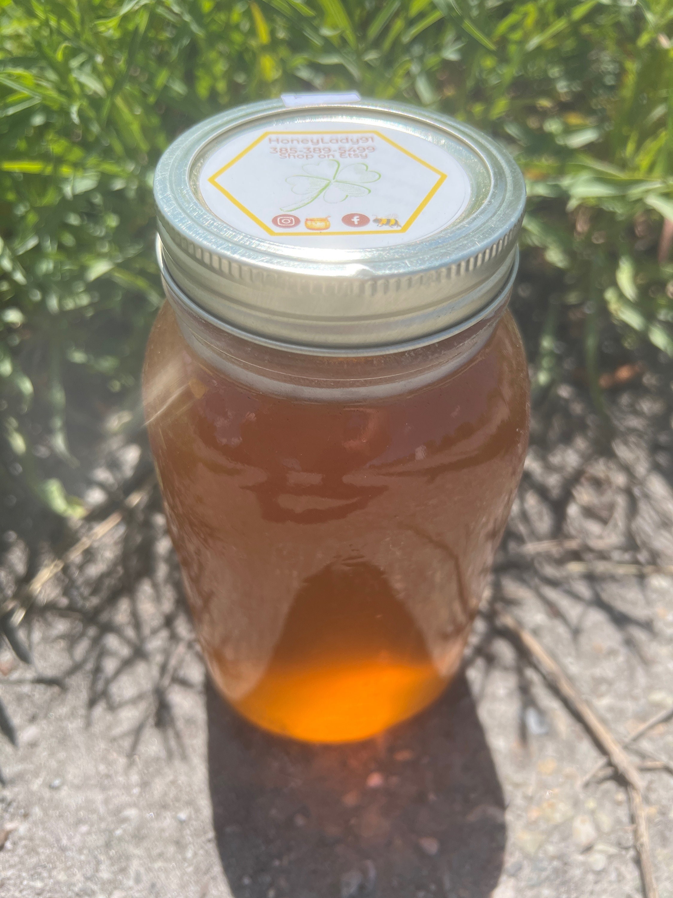 Northern Utah Raw Clover Blossom Honey - Etsy