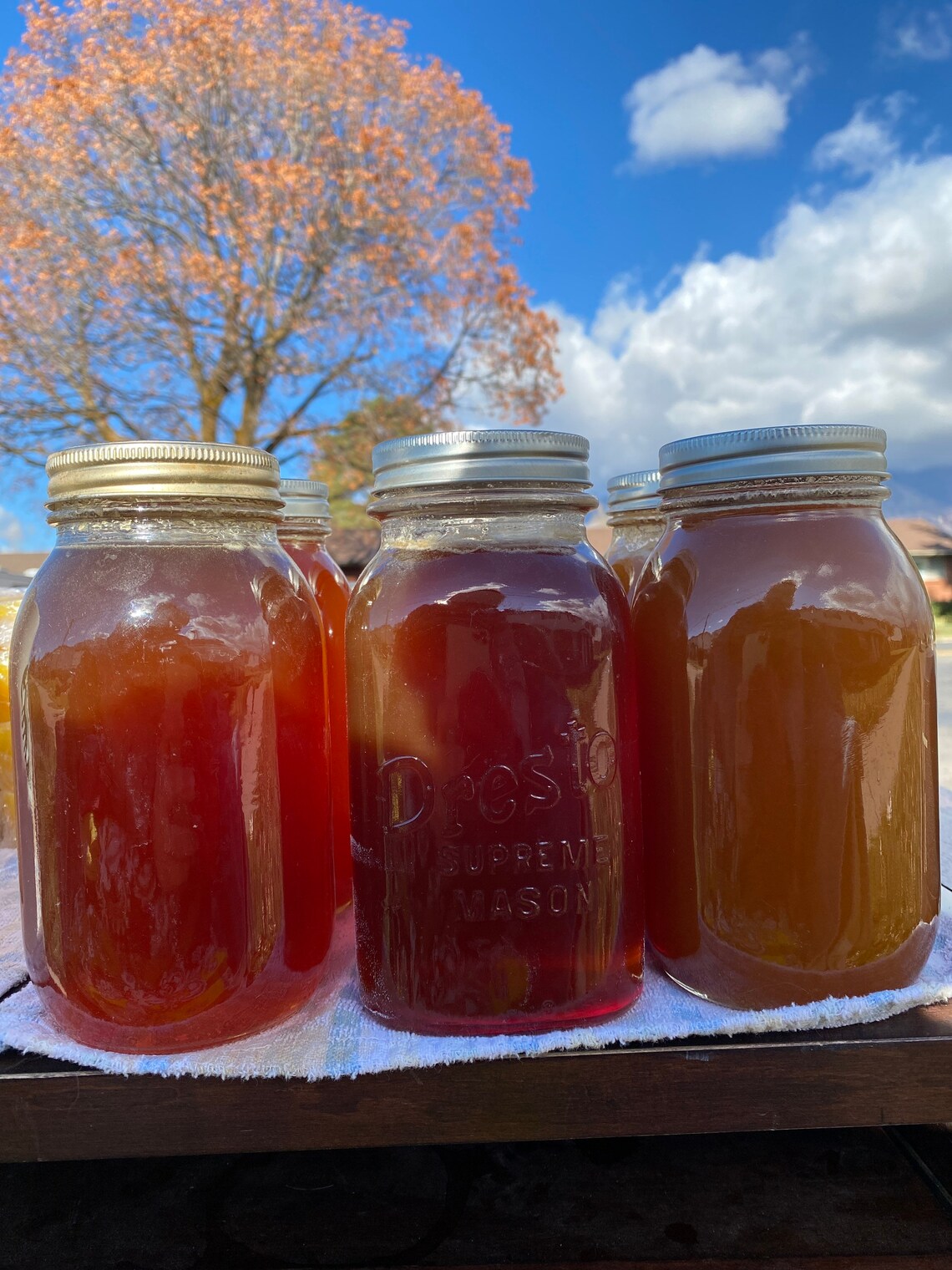 Northern Utah Raw Clover Blossom Honey - Etsy