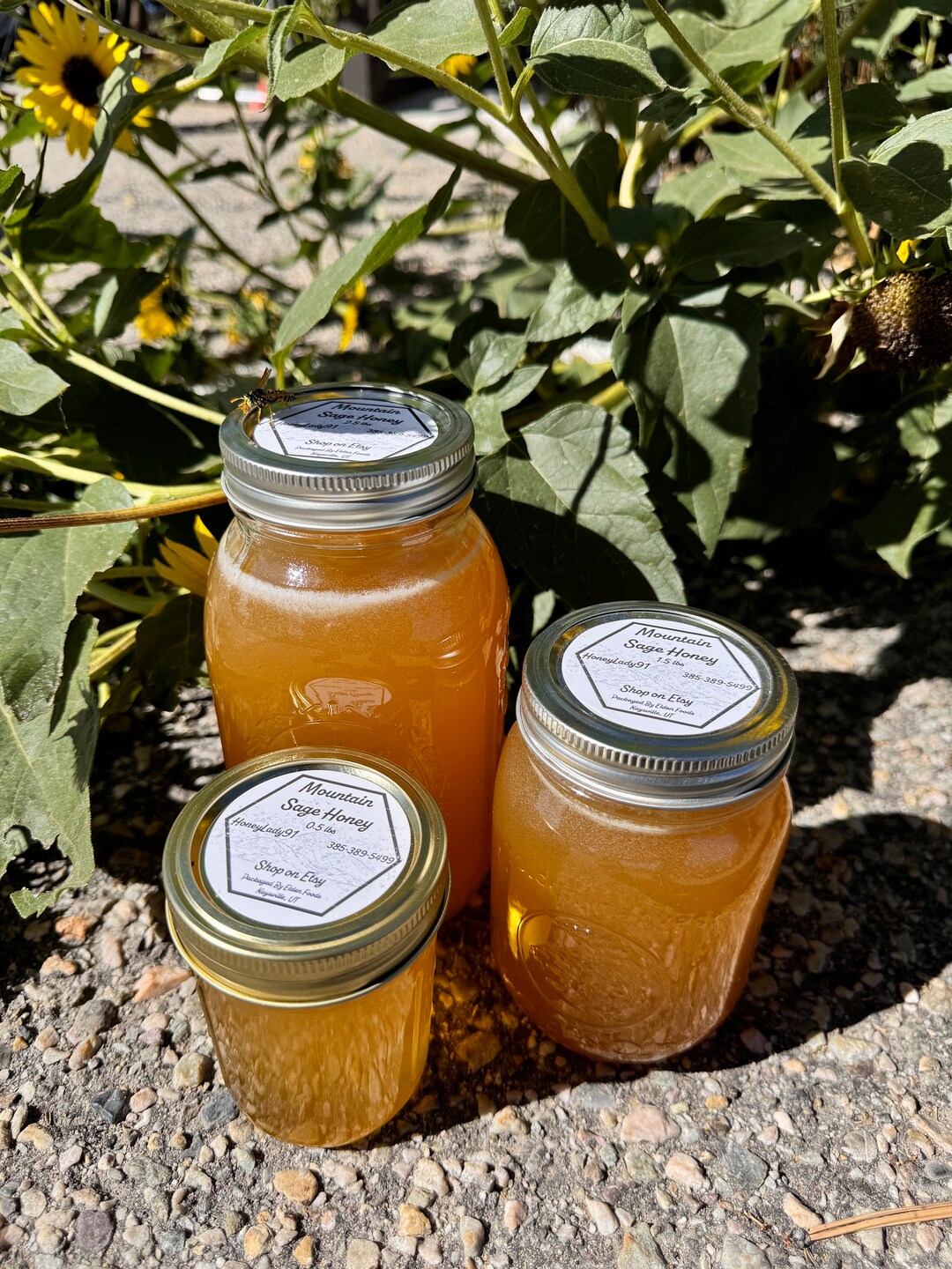 Northern Utah Raw Mountain Sage Honey - Etsy