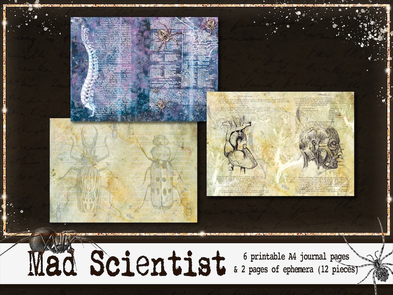 Mad Scientist Printable A4 Junk Journal Kit, Digital Vintage, Steampunk ...