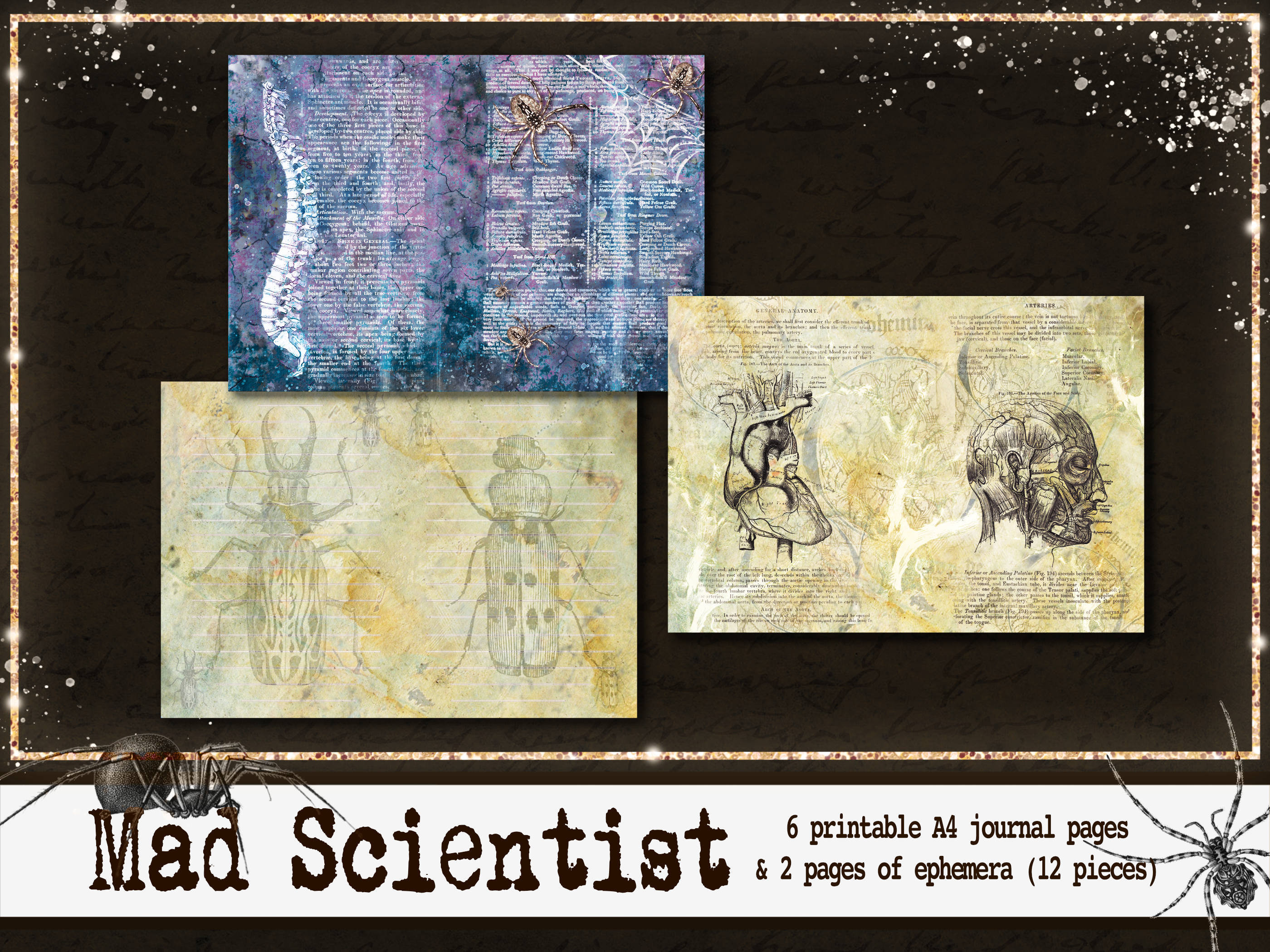 Mad Scientist Printable A4 Junk Journal Kit, Digital Vintage, Steampunk ...