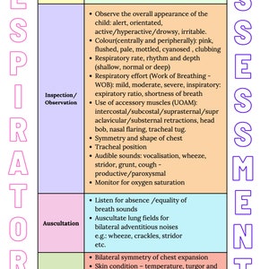 Respiratory Assessment Posters - Etsy