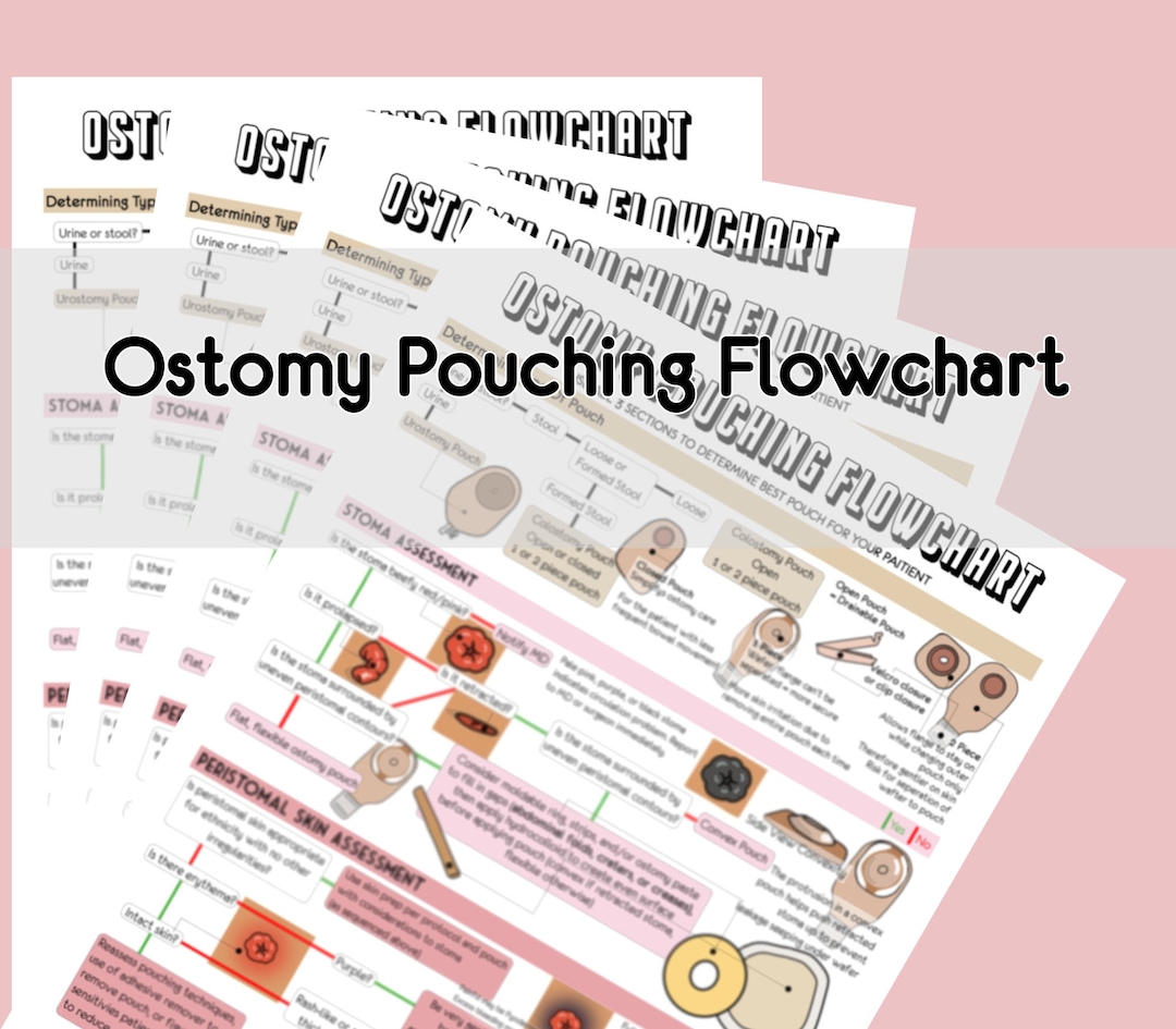 Ostomy Pouch Flowchart Clinical Guide Nursing School Digital Printable