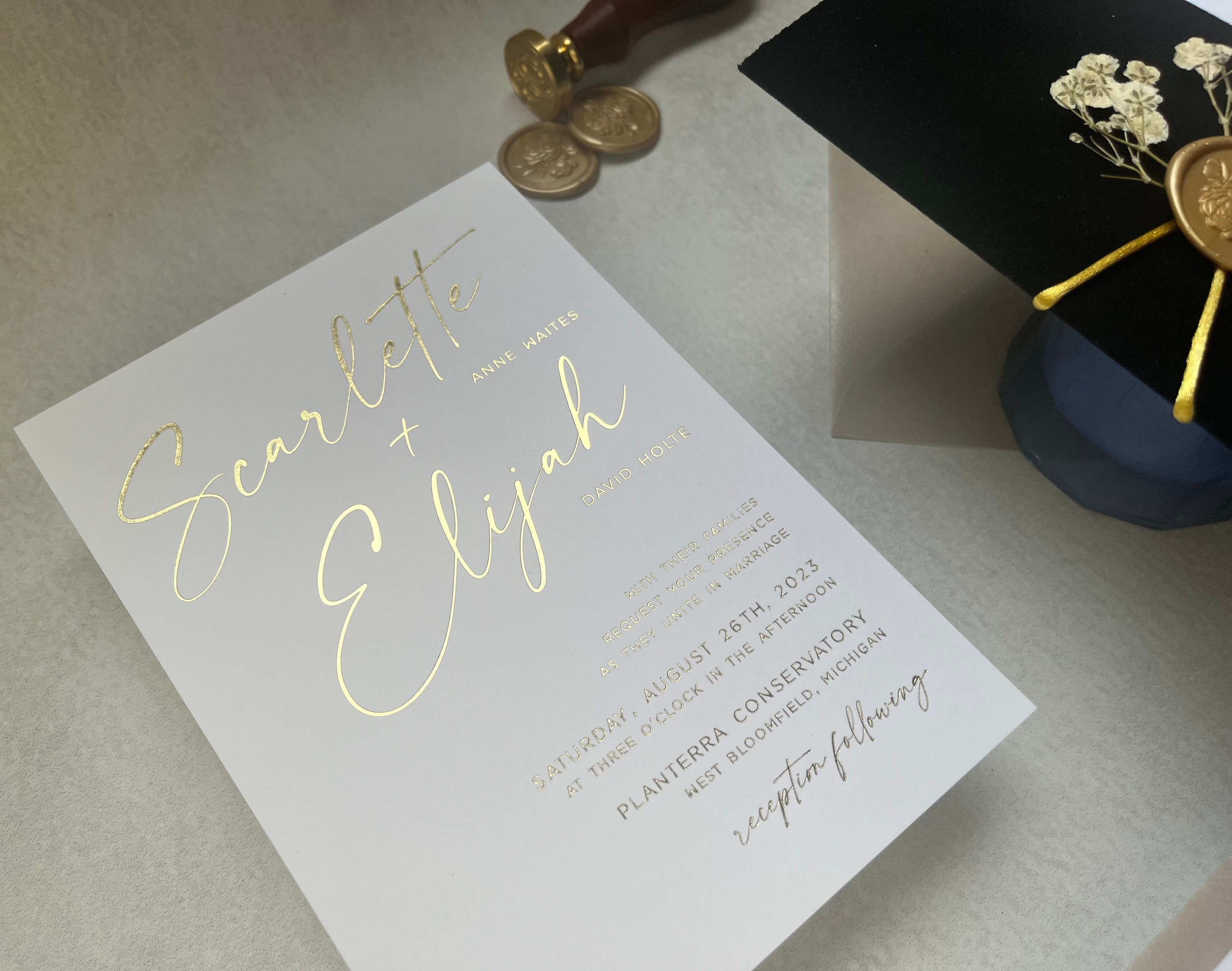 Sample Pack - Black Velvet Modern Chic & Stylish Wedding Invitation ...