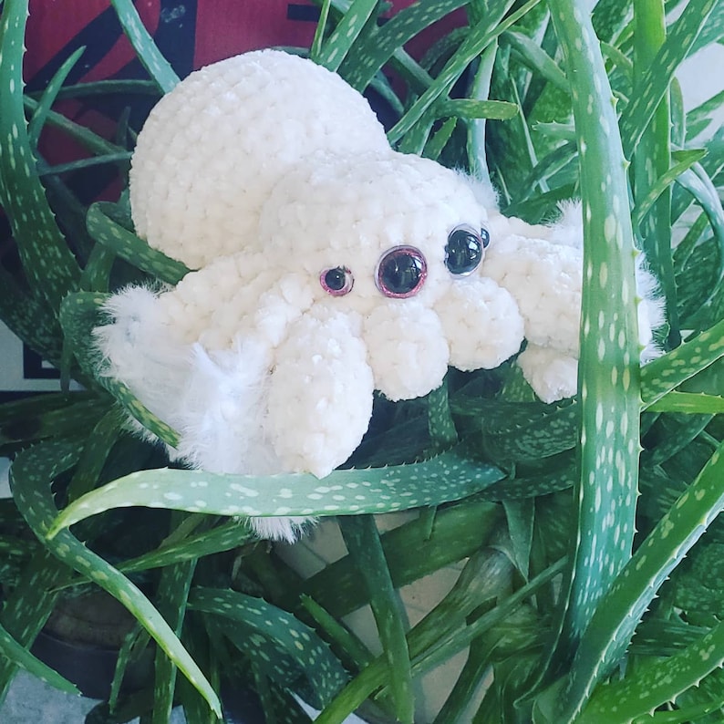 Baby Jumping Spider Plush - Etsy