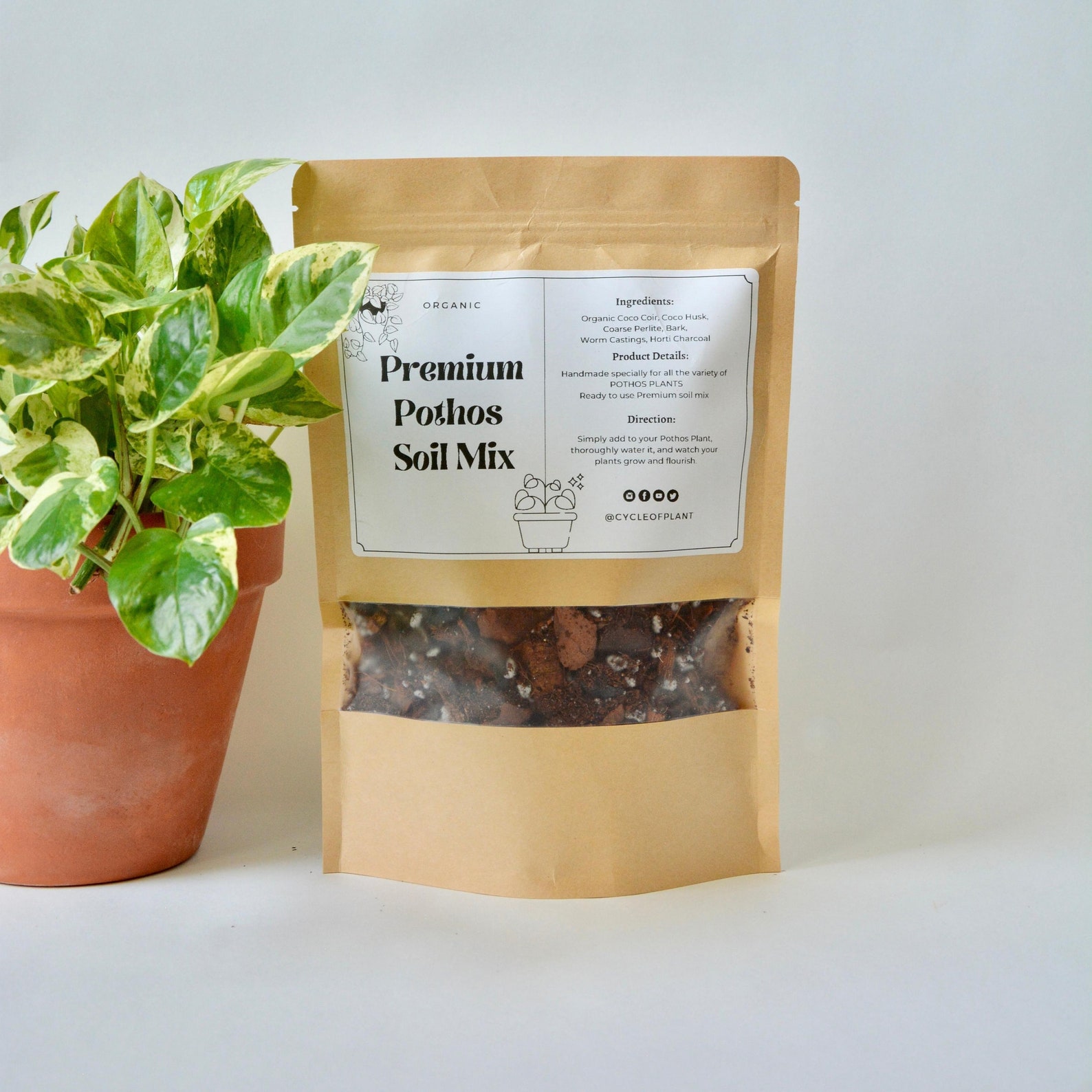 Premium Pothos Potting Mix - Organic, Chunky Blend for Thriving Vines ...