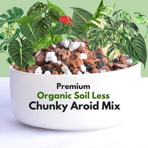 Organic Chunky Aroid Mix: Soilless Potting for Tropical Plants | Cycle ...
