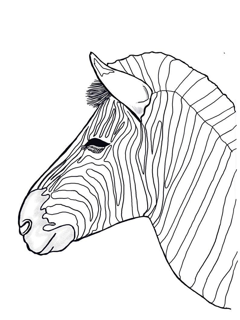 Animals Printable Coloring Sheet | Coloring Pages | Kids Coloring Pages ...