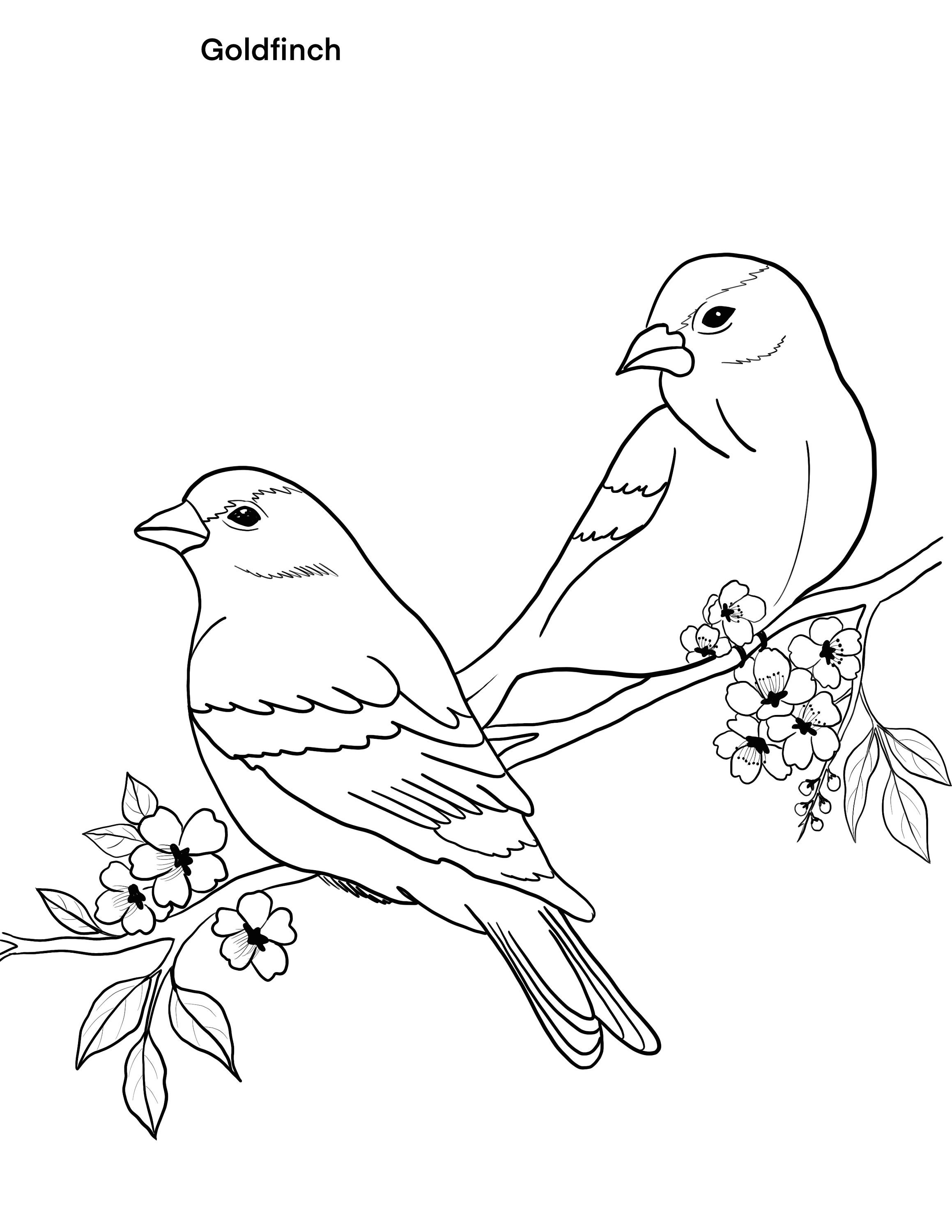 Birds Printable Coloring Sheet Coloring Pages Kids Coloring Pages Kids ... Birds Printable Coloring Sheet Coloring Pages Kids Coloring Pages Kids ...