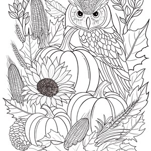 Fall Coloring Pages: Sunflower, Pumpkins, Owl (PDF Pattern) - Etsy