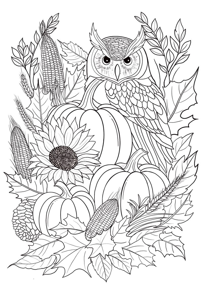 Fall Coloring Pages: Sunflower, Pumpkins, Owl (PDF Pattern) - Etsy