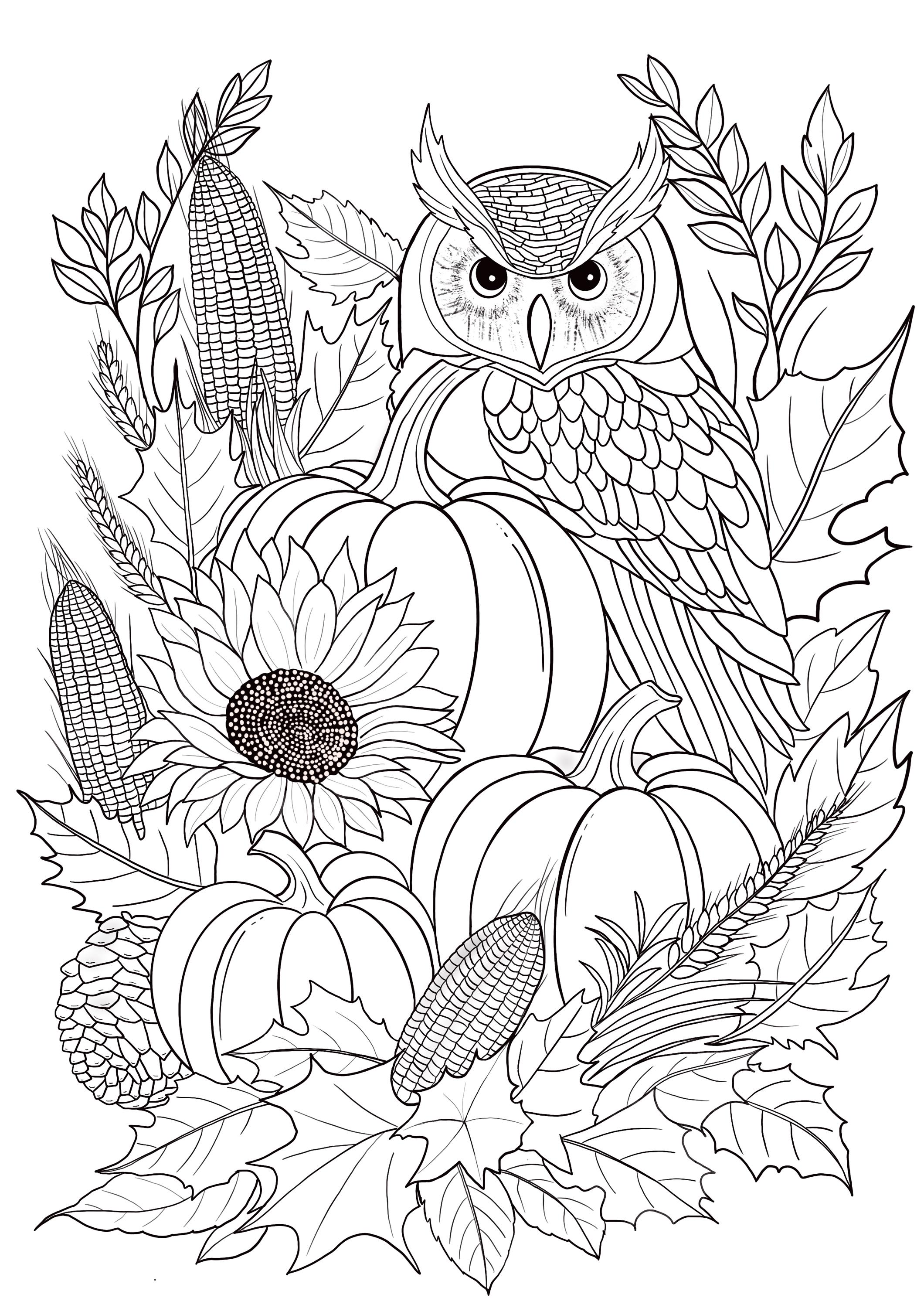 Fall Coloring Pages: Sunflower, Pumpkins, Owl (PDF Pattern) - Etsy