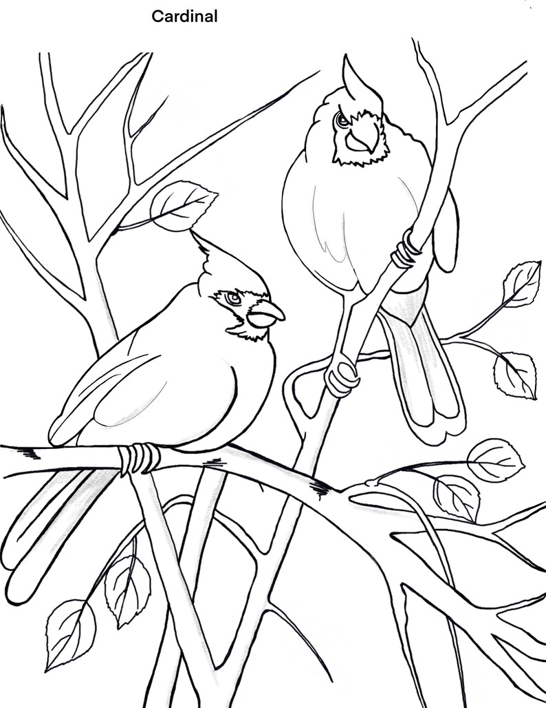Birds Printable Coloring Sheet | Coloring Pages | Kids Coloring Pages ...