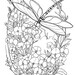 Dragonfly & Roses Coloring Page: Floral Printable (PDF) - Etsy