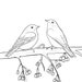 Birds Coloring Pages | Hand Drawn Illustrations (PDF & JPG) - Etsy