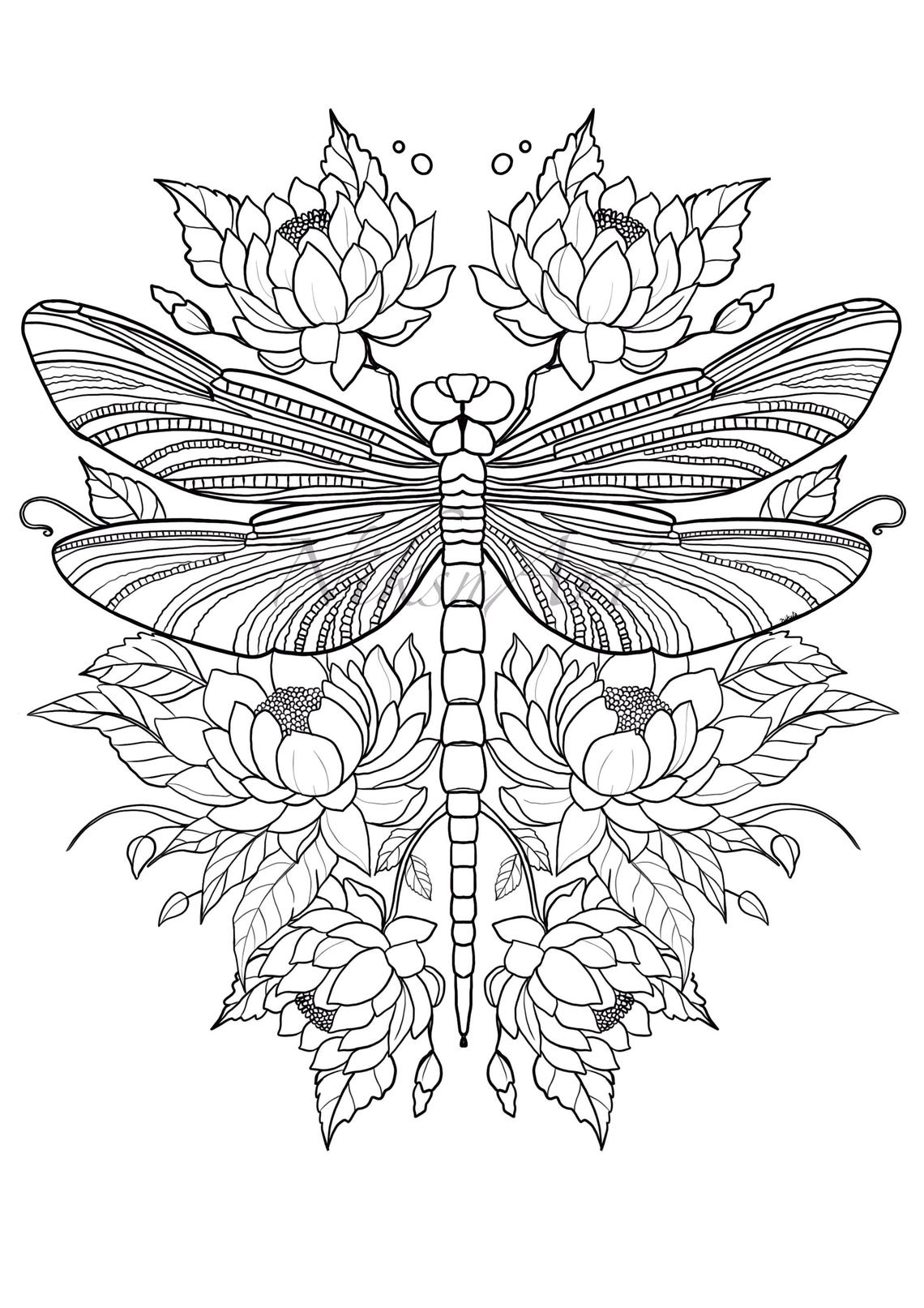Dragonfly & Roses Coloring Page: Floral Printable (PDF) - Etsy