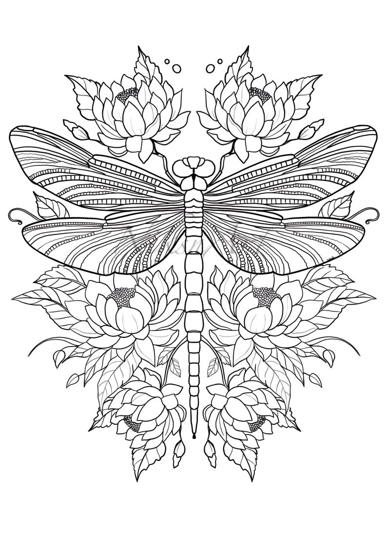 Dragonfly & Roses Coloring Page: Floral Printable (PDF) - Etsy