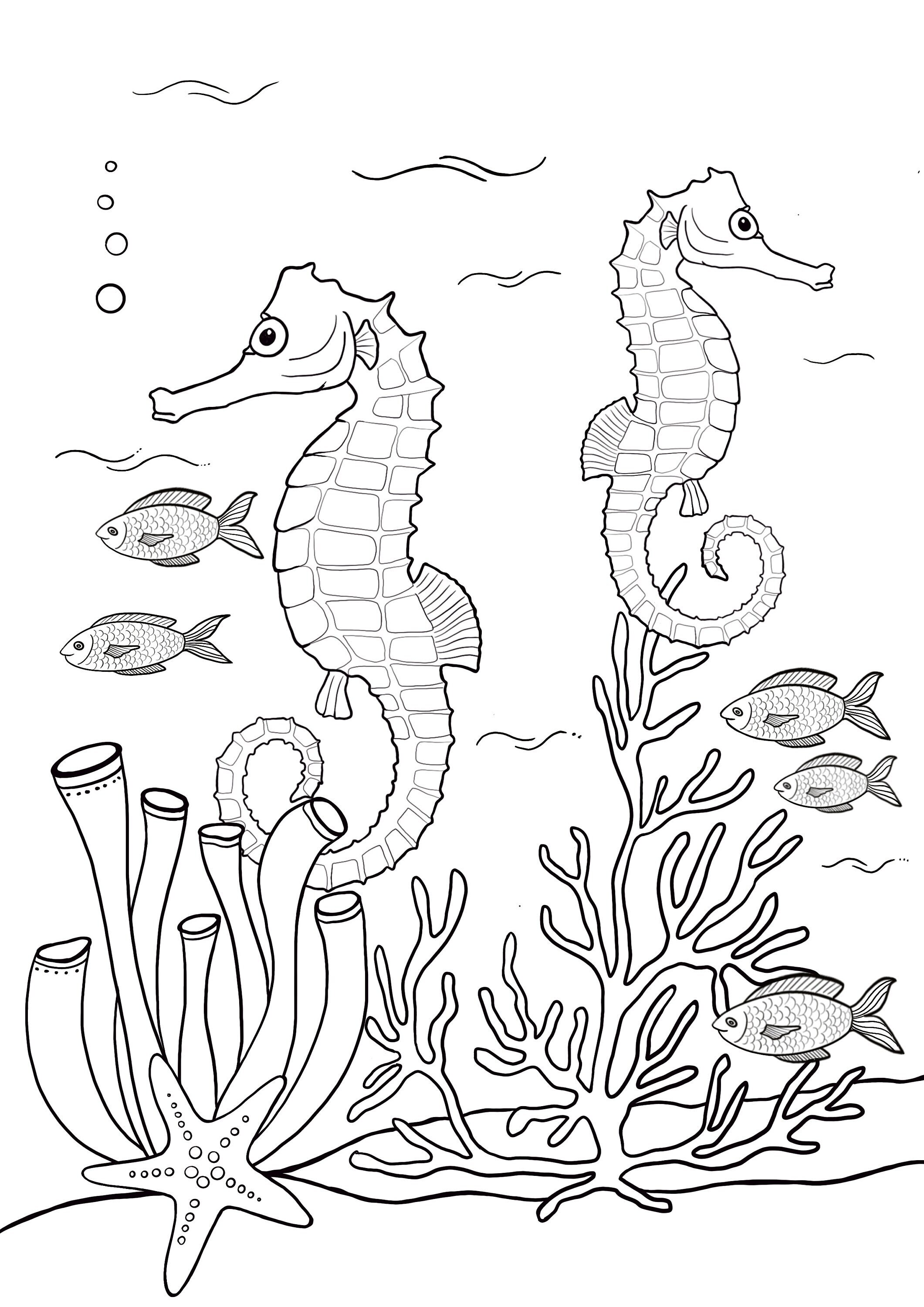 Beautiful Underwater Sea Life Printable Coloring Sheet | Coloring Pages ...