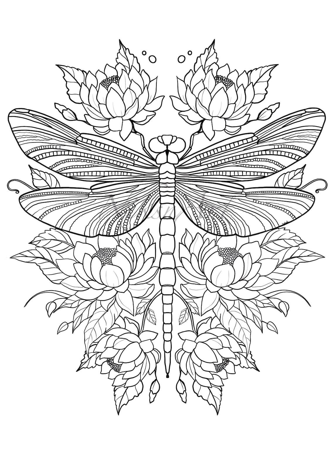 Dragonfly & Roses Coloring Page: Floral Printable (PDF) - Etsy
