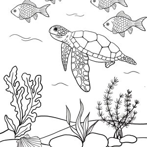 Beautiful Underwater Sea Life Printable Coloring Sheet | Coloring Pages ...