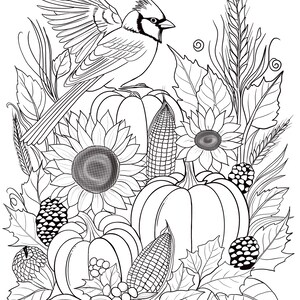 Fall Coloring Pages: Sunflower, Pumpkins, Owl (PDF Pattern) - Etsy