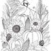 Fall Coloring Pages: Sunflower, Pumpkins, Owl (PDF Pattern) - Etsy