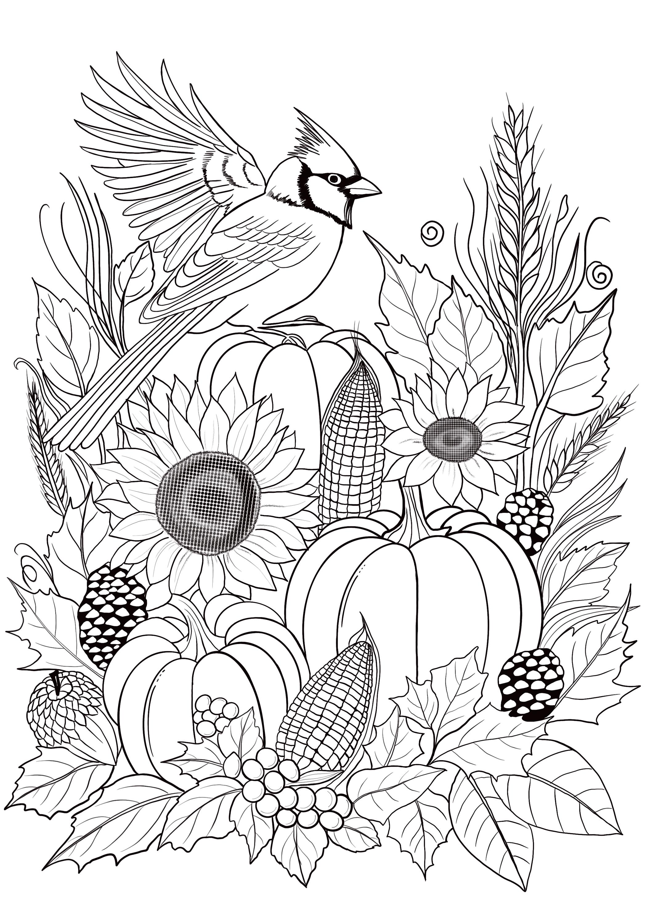 Fall Coloring Pages: Sunflower, Pumpkins, Owl (PDF Pattern) - Etsy