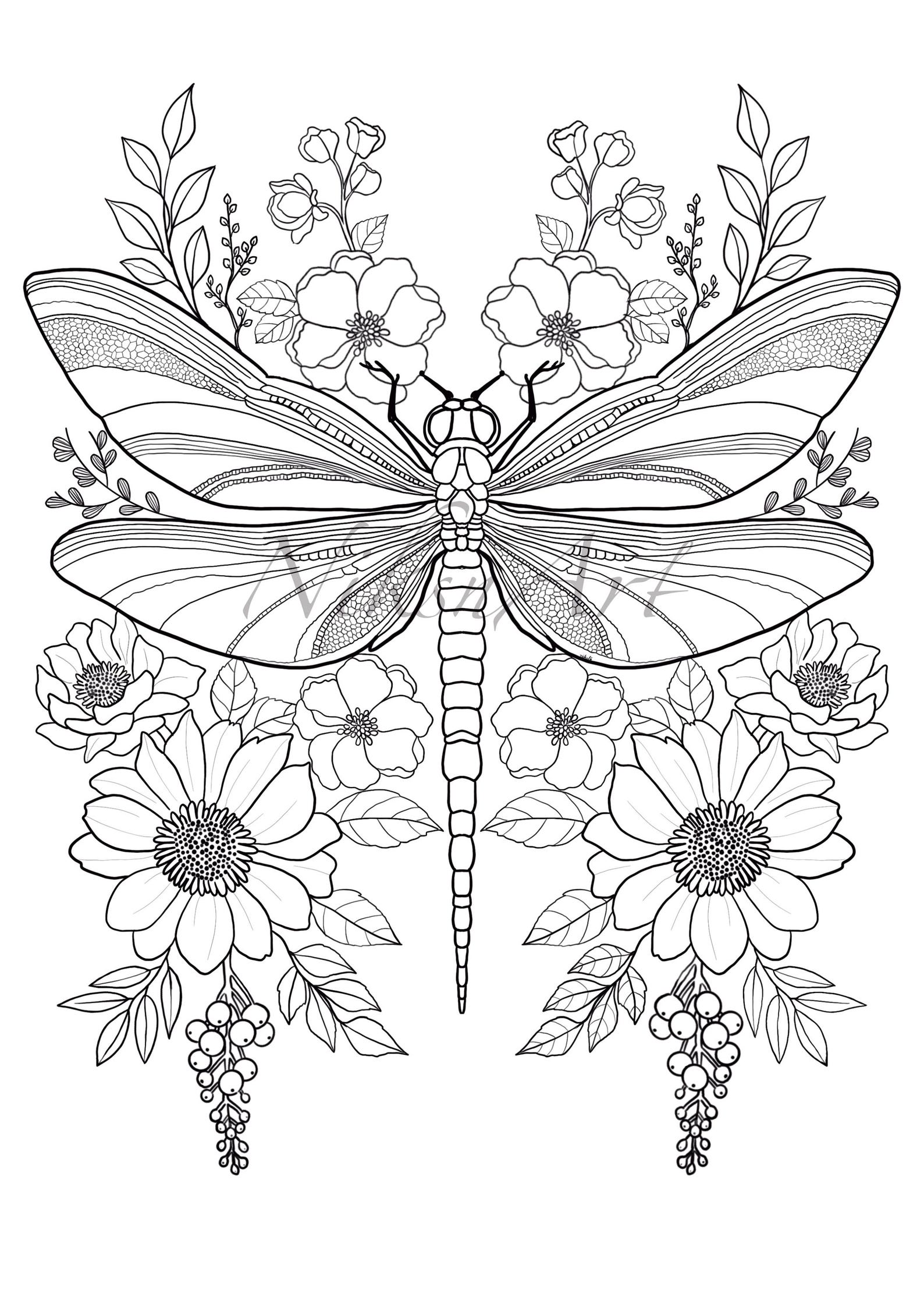 Dragonfly & Roses Coloring Page: Floral Printable (PDF) - Etsy